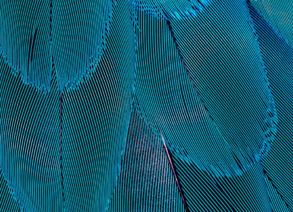 Cascading Images - Impeka Creative Multipurpose Theme